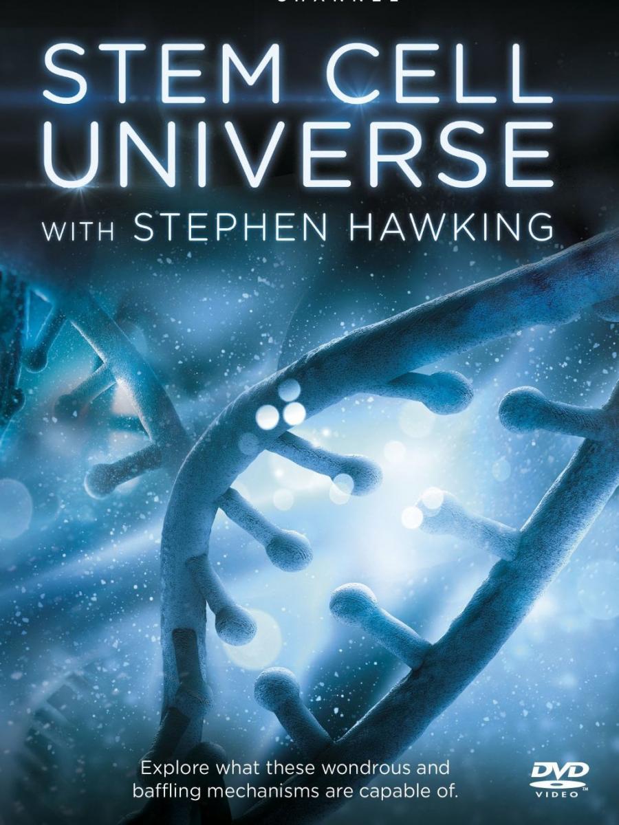 Sección visual de Stem Cell Universe with Stephen Hawking (TV) (TV ...
