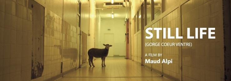 Image gallery for Still Life - FilmAffinity