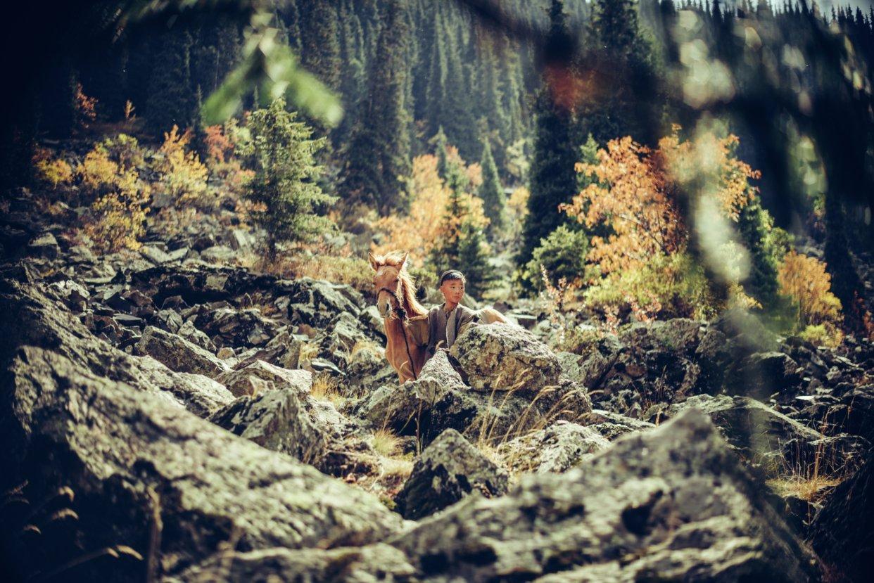 Sección visual de Stranger - FilmAffinity