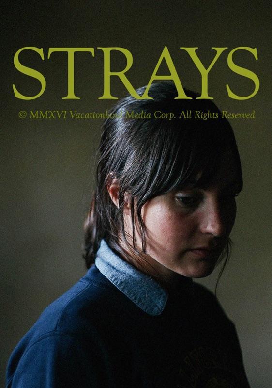 Image gallery for Strays (S) - FilmAffinity