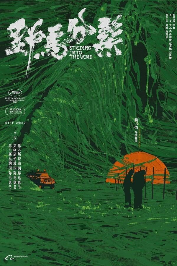 Sección visual de Striding Into the Wind - FilmAffinity
