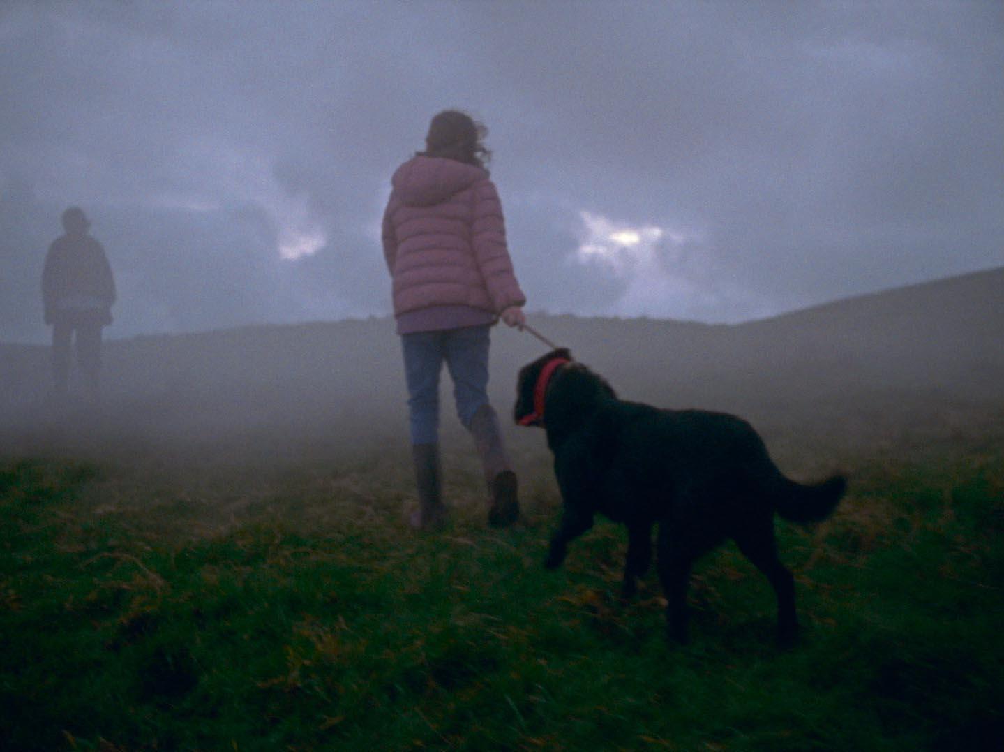 Sección visual de Sudden Light (C) - FilmAffinity