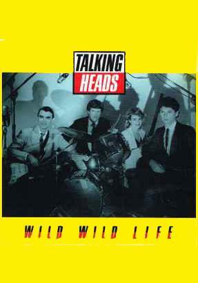 Image gallery for Talking Heads: Wild Wild Life (Music Video ...