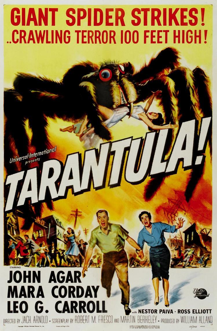 Sección visual de Tarántula - FilmAffinity