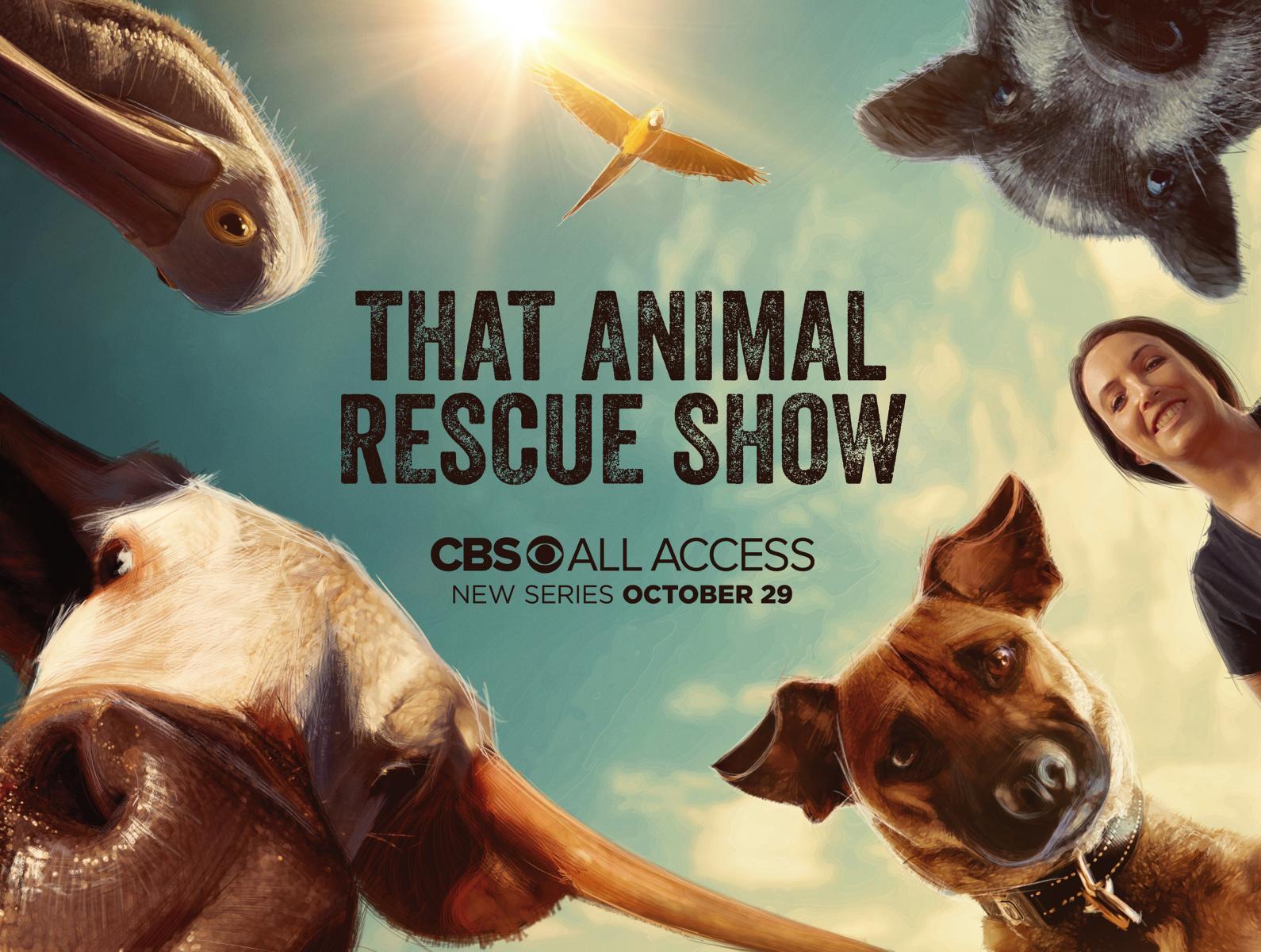 Sección visual de That Animal Rescue Show (Serie de TV) - FilmAffinity