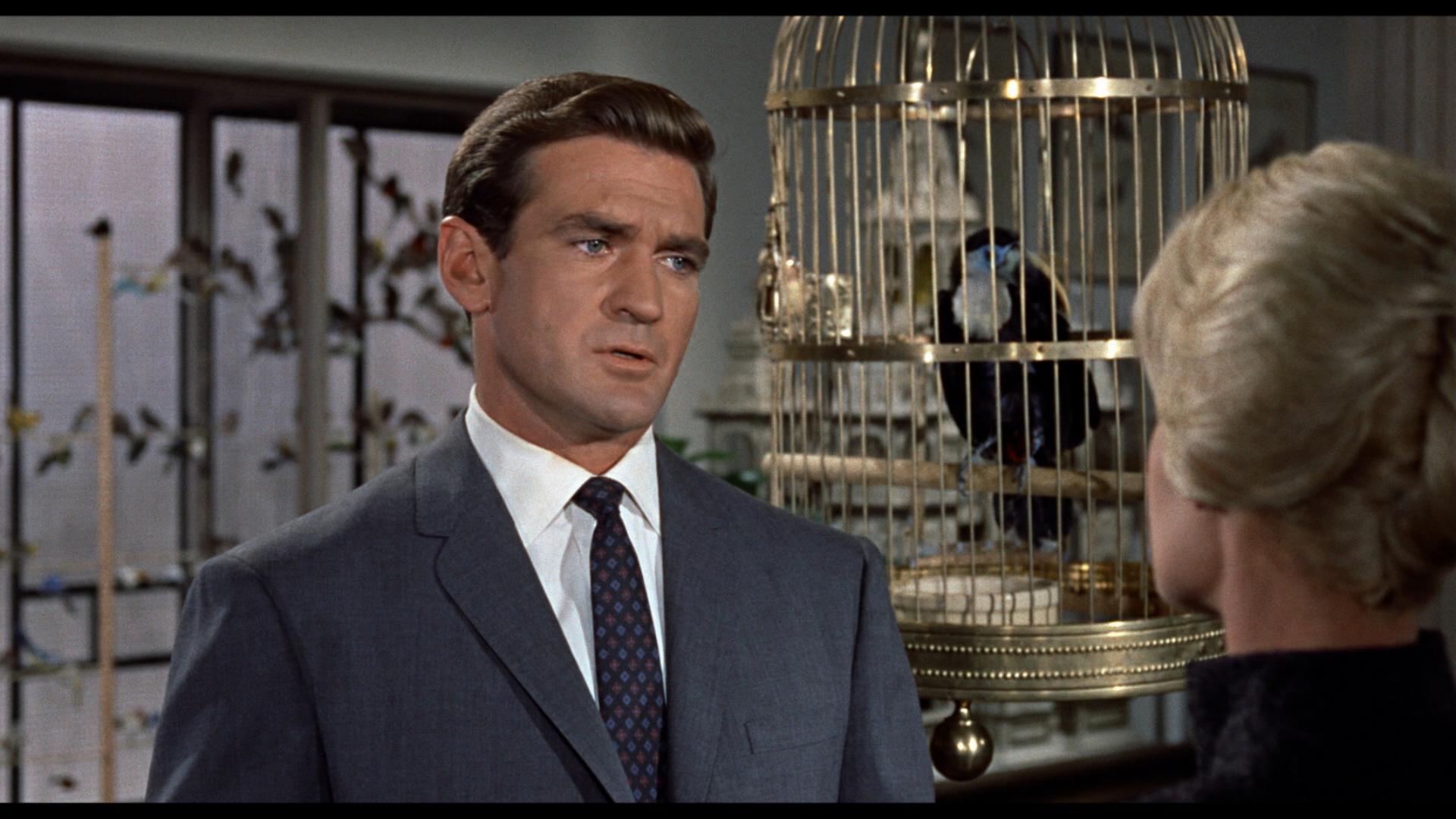 Image gallery for The Birds - FilmAffinity