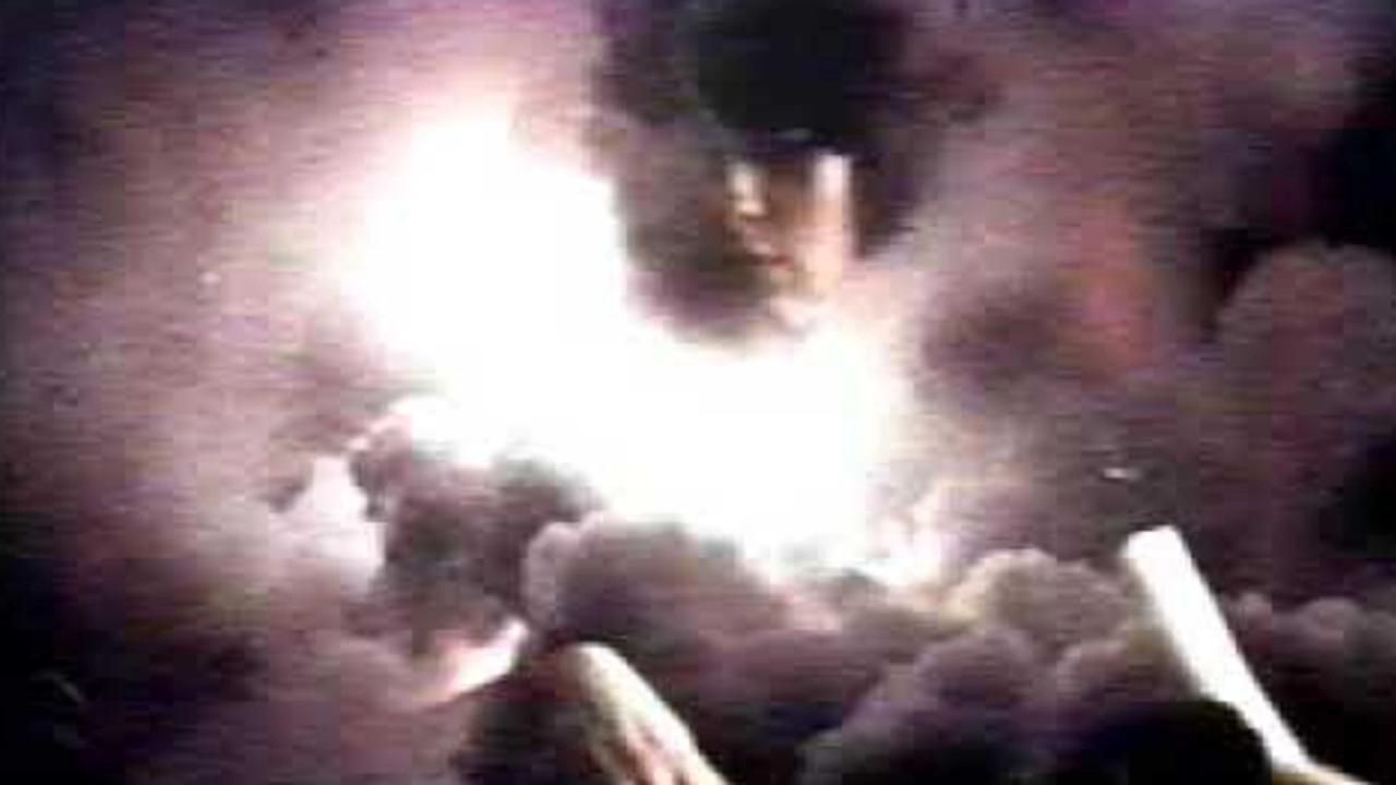 Sección visual de The Cat Lady (C) - FilmAffinity