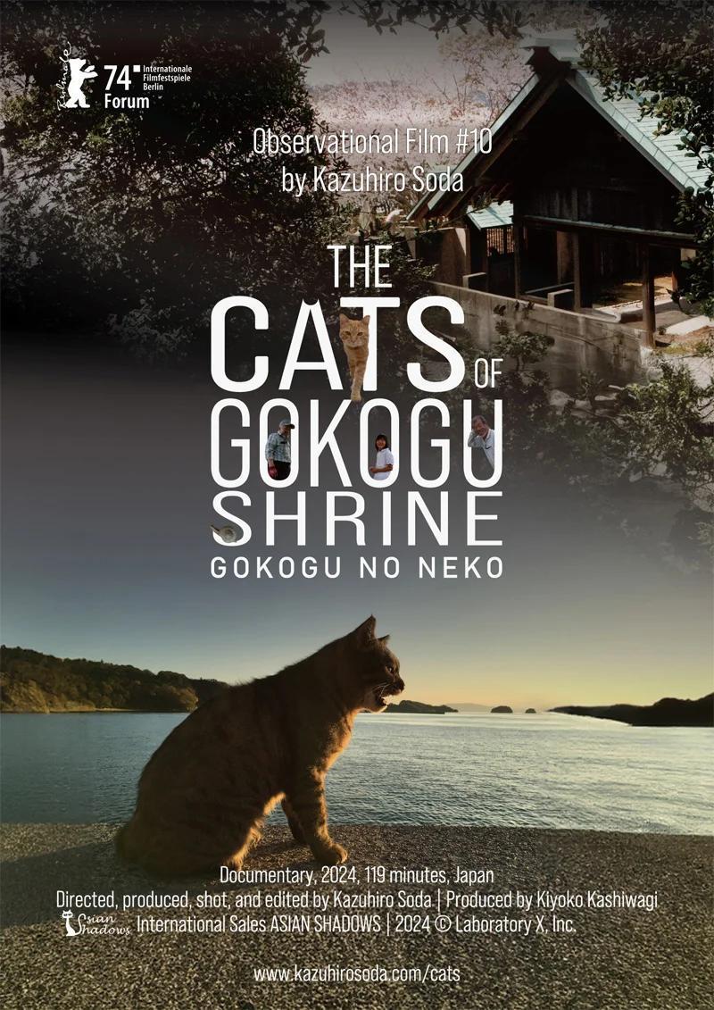 Sección visual de The Cats of Gokogu Shrine - FilmAffinity