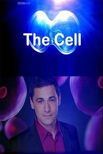 Image gallery for The Cell (TV Miniseries) - FilmAffinity