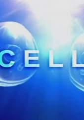 Image gallery for The Cell (TV Miniseries) - FilmAffinity
