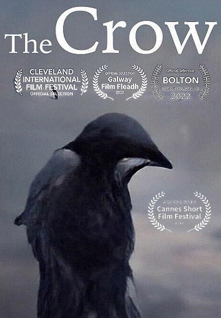 Sección visual de The Crow (C) - FilmAffinity