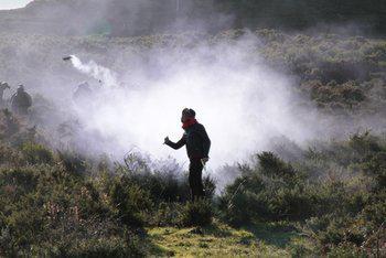 Sección visual de The Curse (C) - FilmAffinity