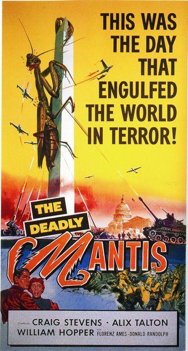 Image gallery for The Deadly Mantis - FilmAffinity
