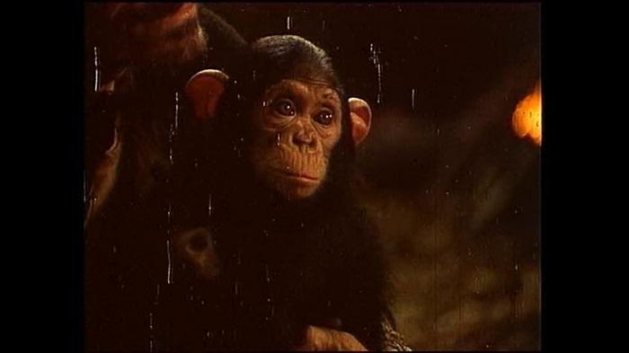 Image gallery for The Falcon - FilmAffinity