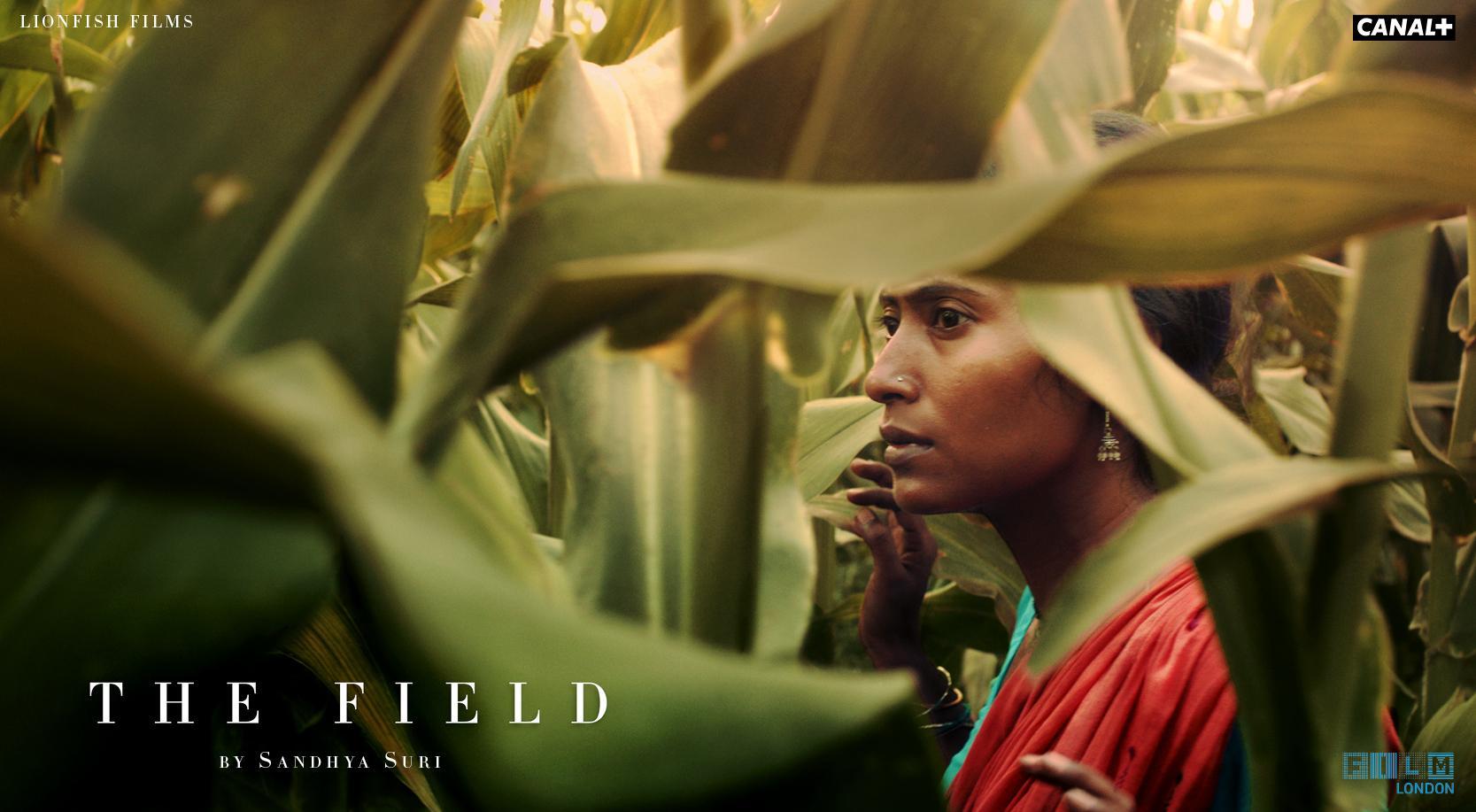 Image gallery for The Field (S) - FilmAffinity