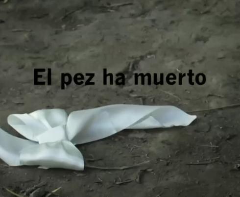 Image gallery for The Fish is Dead (S) - FilmAffinity