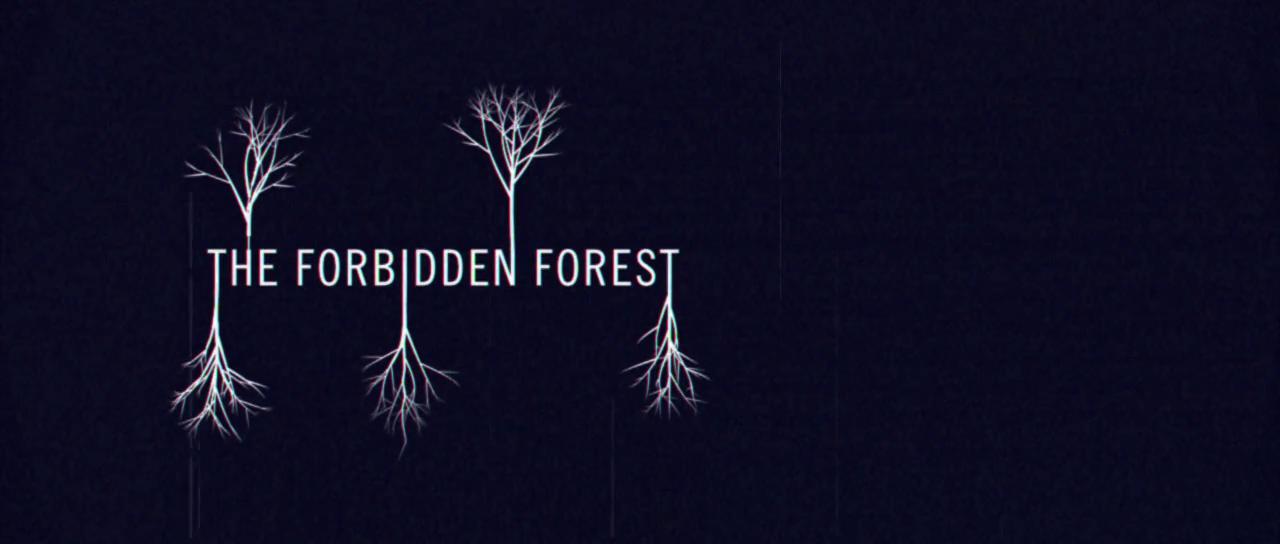 Image gallery for The Forbidden Forest (S) - FilmAffinity