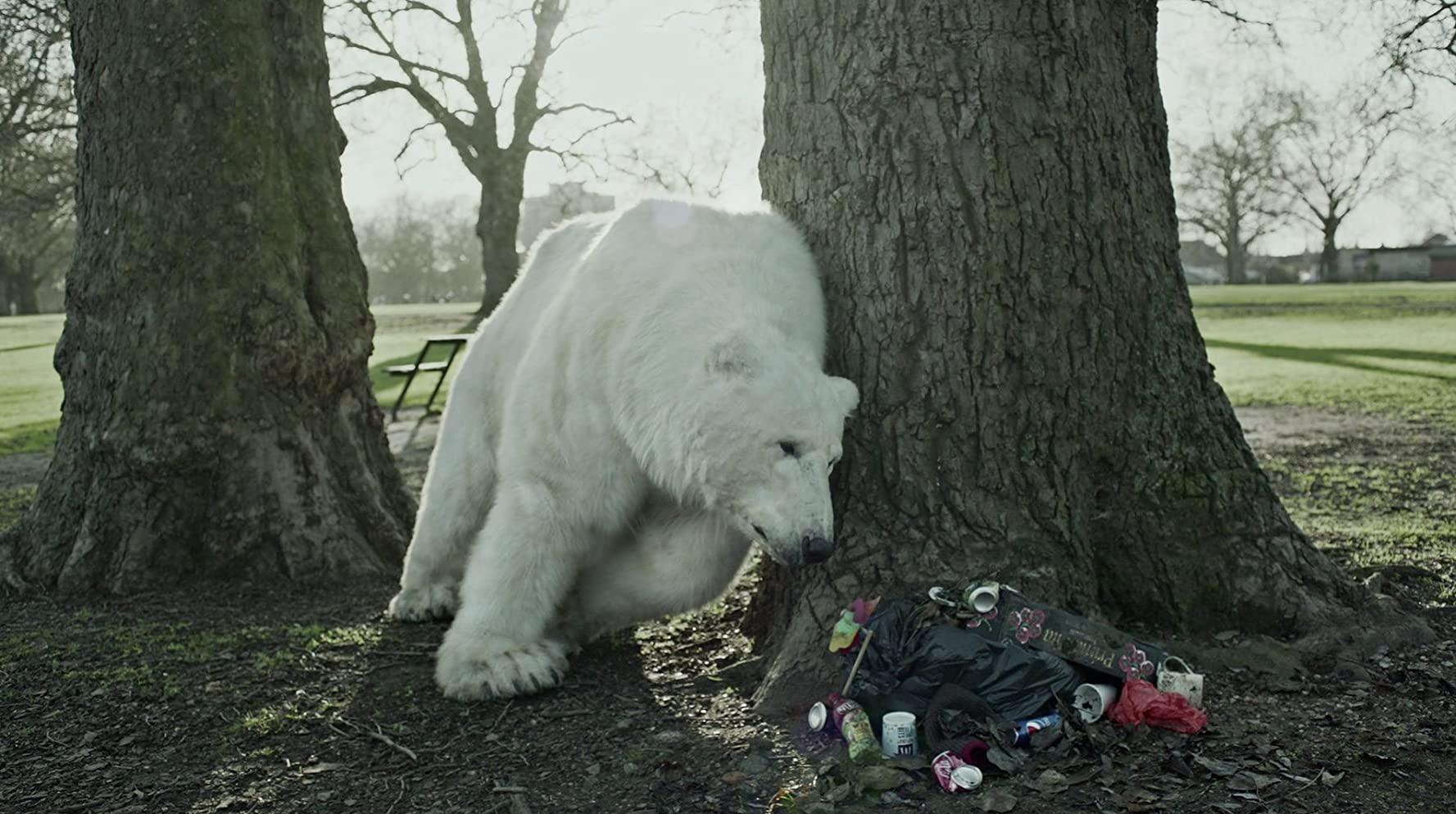 Image gallery for The Homeless Polar Bear (S) - FilmAffinity