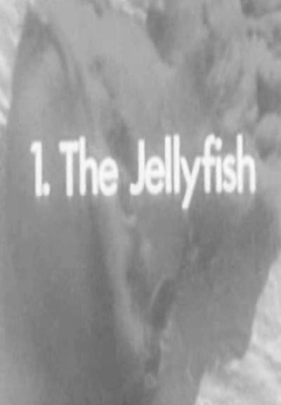 The Jellyfish (S) (1974) - FilmAffinity