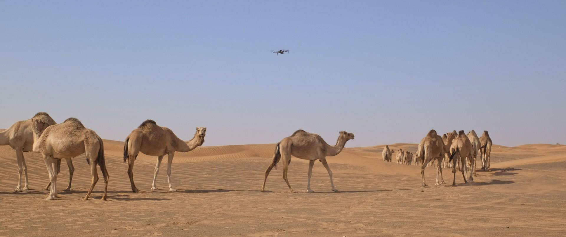 Image gallery for The Landing - FilmAffinity