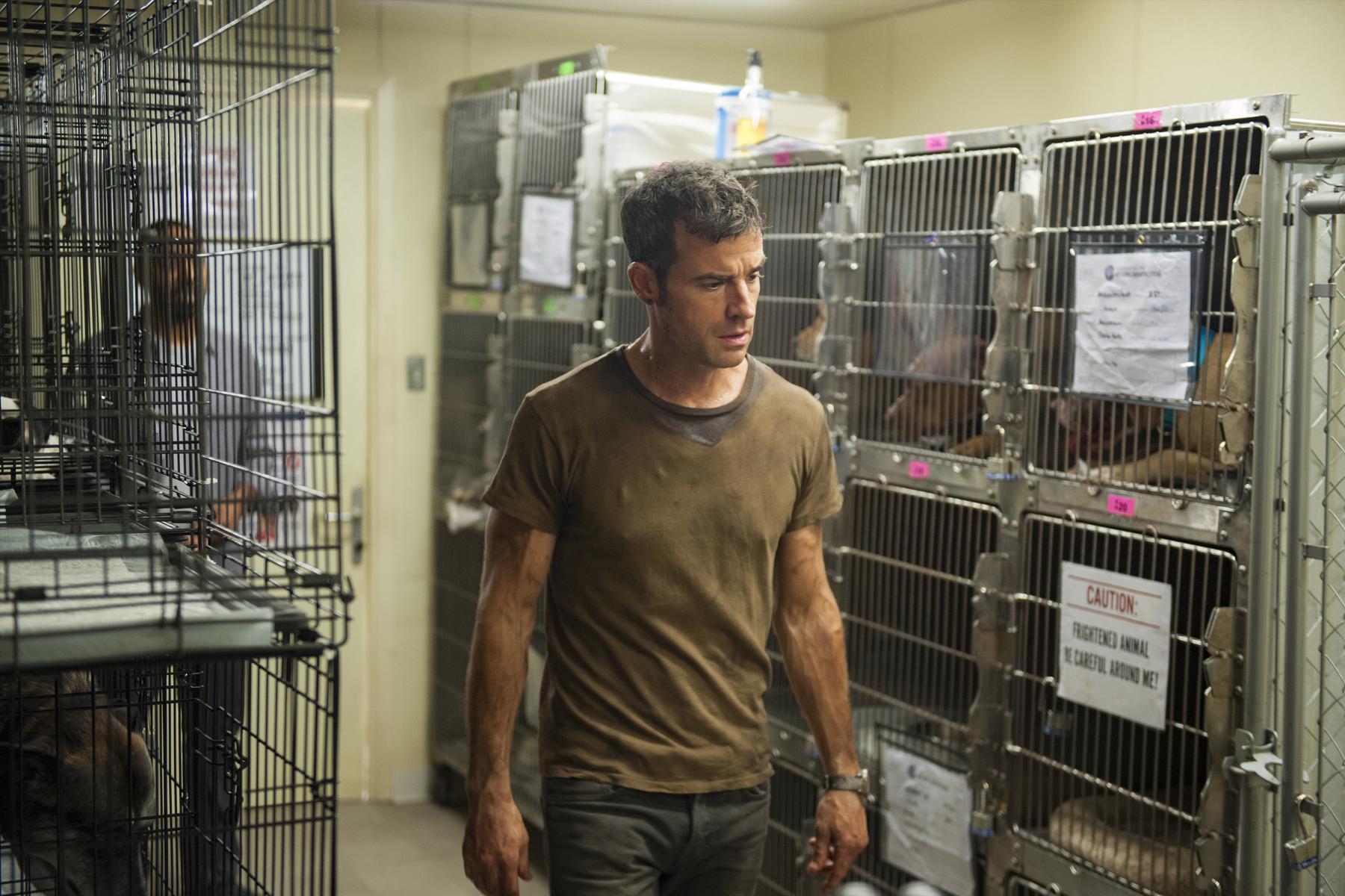 Image gallery for The Leftovers (TV Series) - FilmAffinity