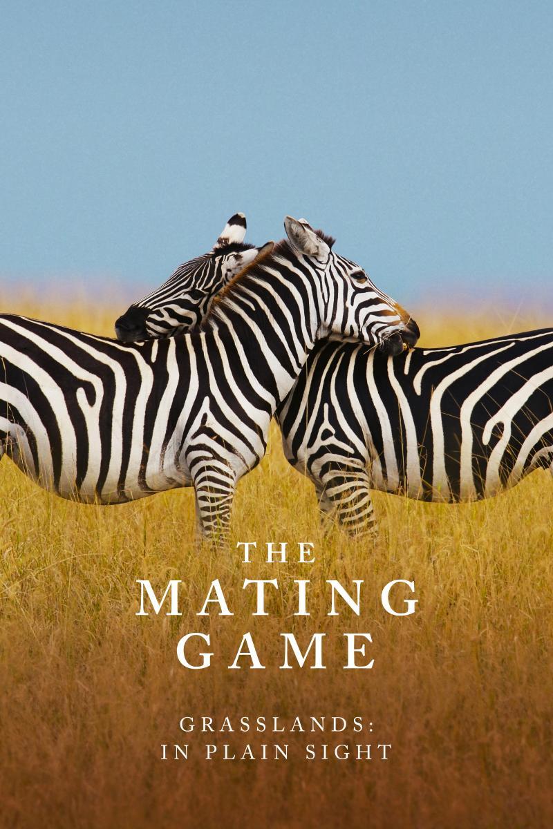Image gallery for The Mating Game (TV Miniseries) - FilmAffinity