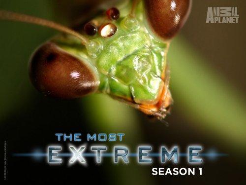Image gallery for The Most Extreme (TV Series) - FilmAffinity