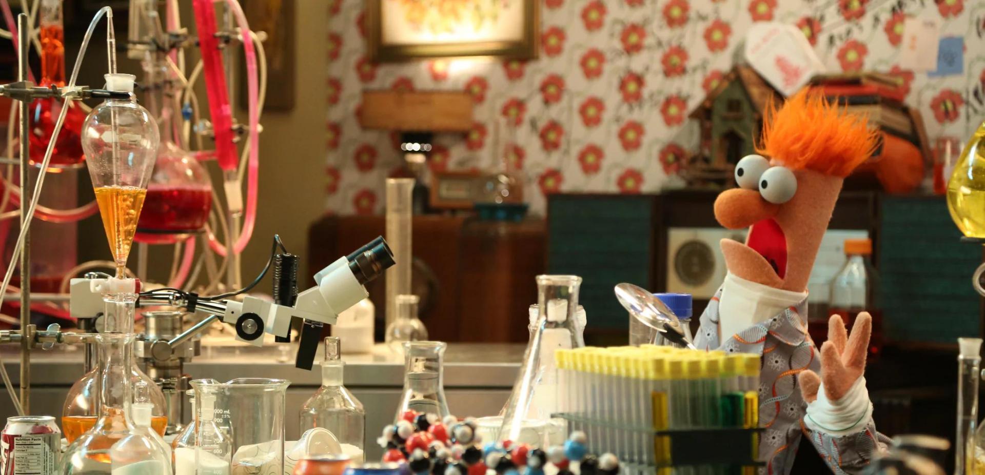 Sección visual de The Muppets: Flowers on the Wall (Vídeo musical ...