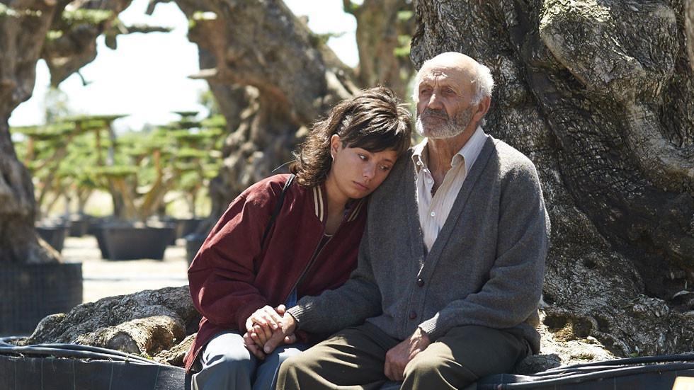 Image gallery for The Olive Tree - FilmAffinity