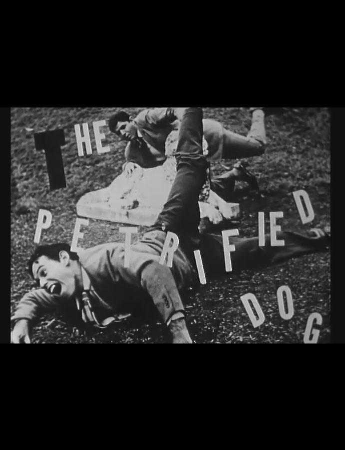 Sección visual de The Petrified Dog (C) - FilmAffinity