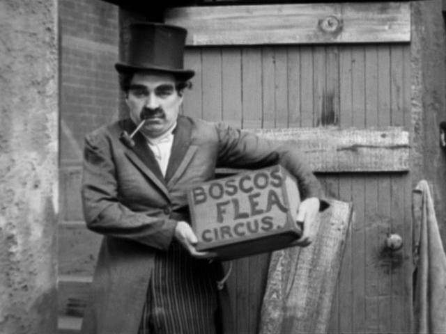 Sección visual de The Professor (C) - FilmAffinity