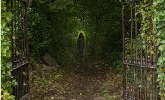 Image gallery for The Rafters - FilmAffinity