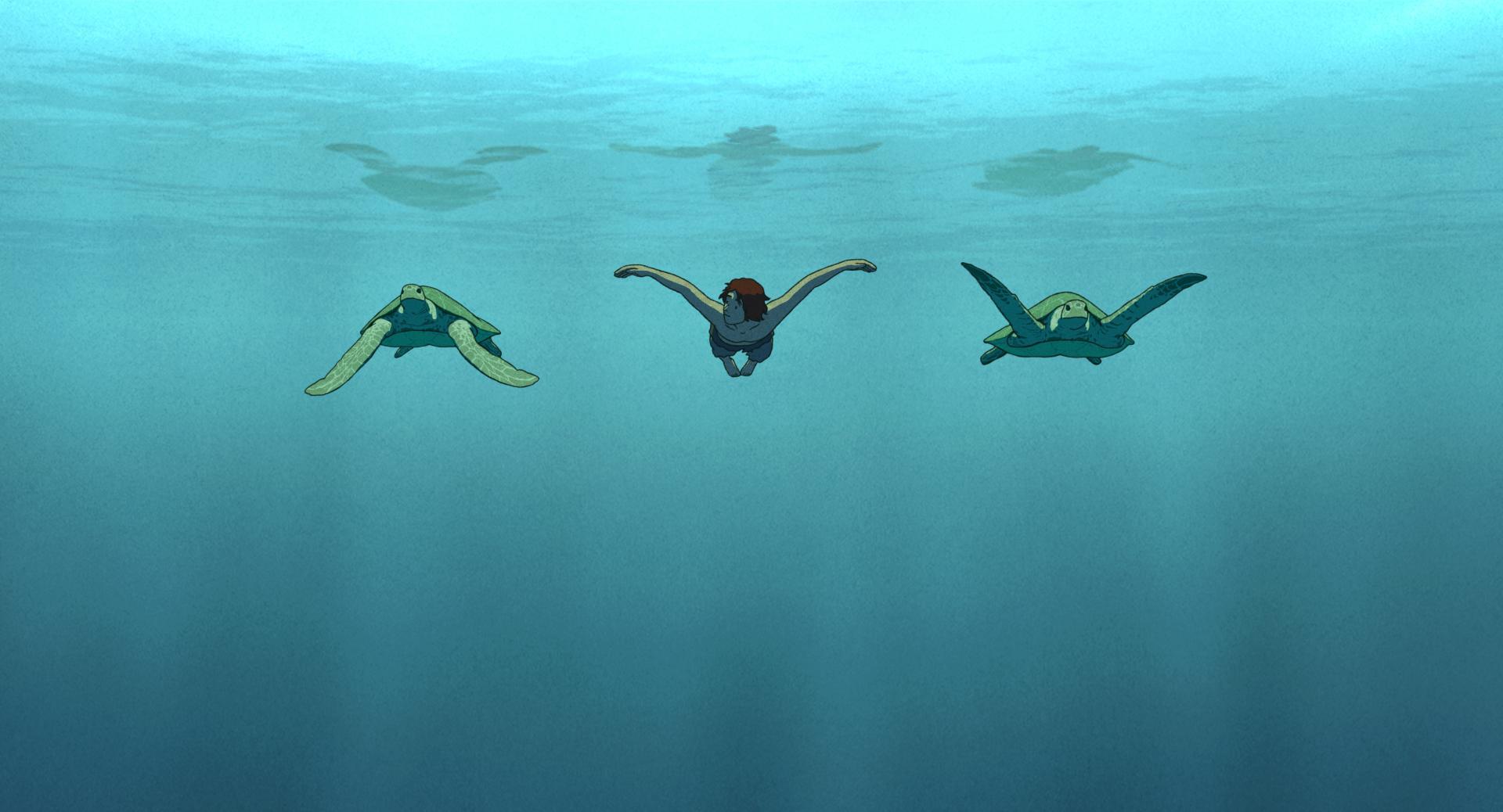 Image gallery for The Red Turtle - FilmAffinity