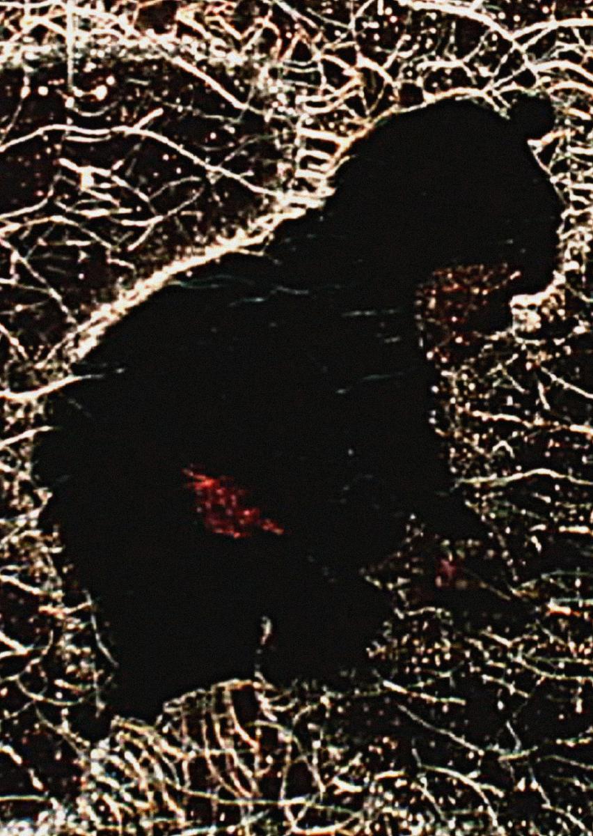 Sección visual de The Snowman (C) - FilmAffinity