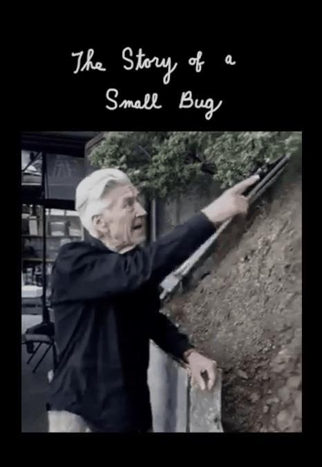 Image gallery for The Story of a Small Bug (S) - FilmAffinity