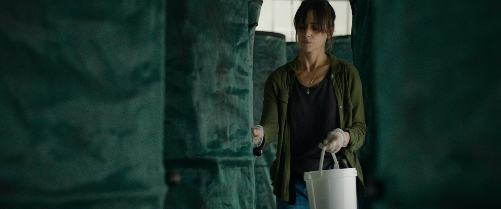 Image gallery for The Swarm - FilmAffinity
