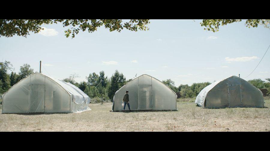 Image gallery for The Swarm - FilmAffinity