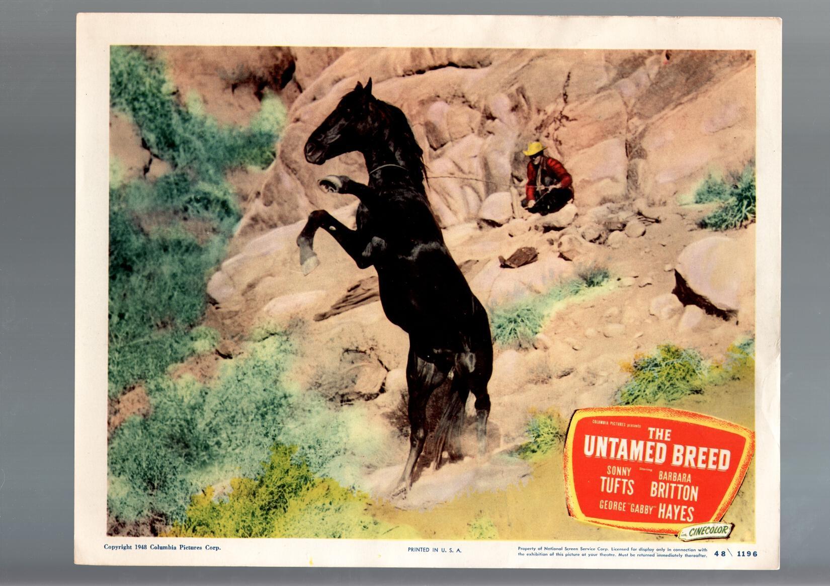 Image gallery for The Untamed Breed - FilmAffinity