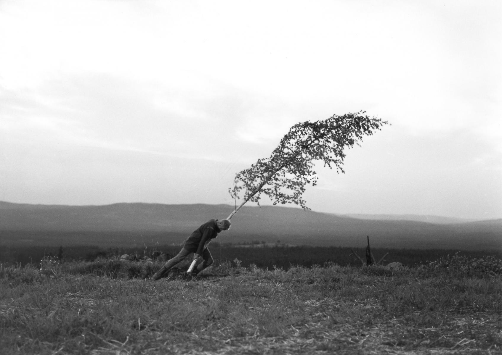 Image gallery for The Virgin Spring - FilmAffinity