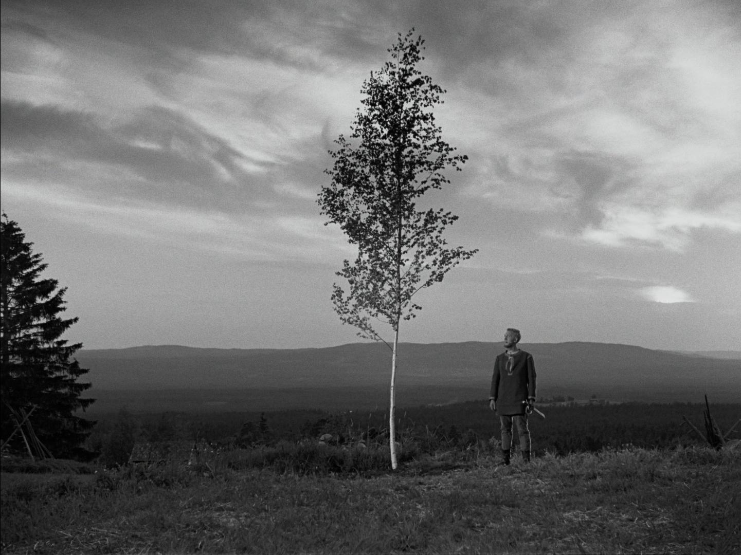 Image gallery for The Virgin Spring - FilmAffinity
