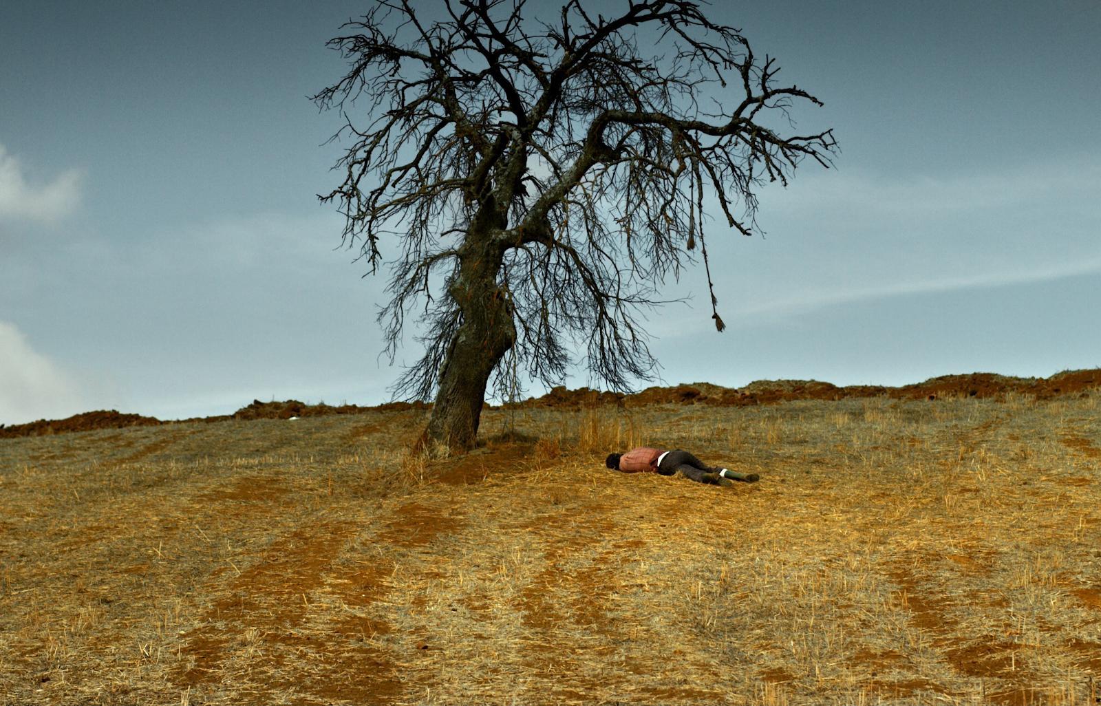 Image gallery for The Wild Pear Tree - FilmAffinity