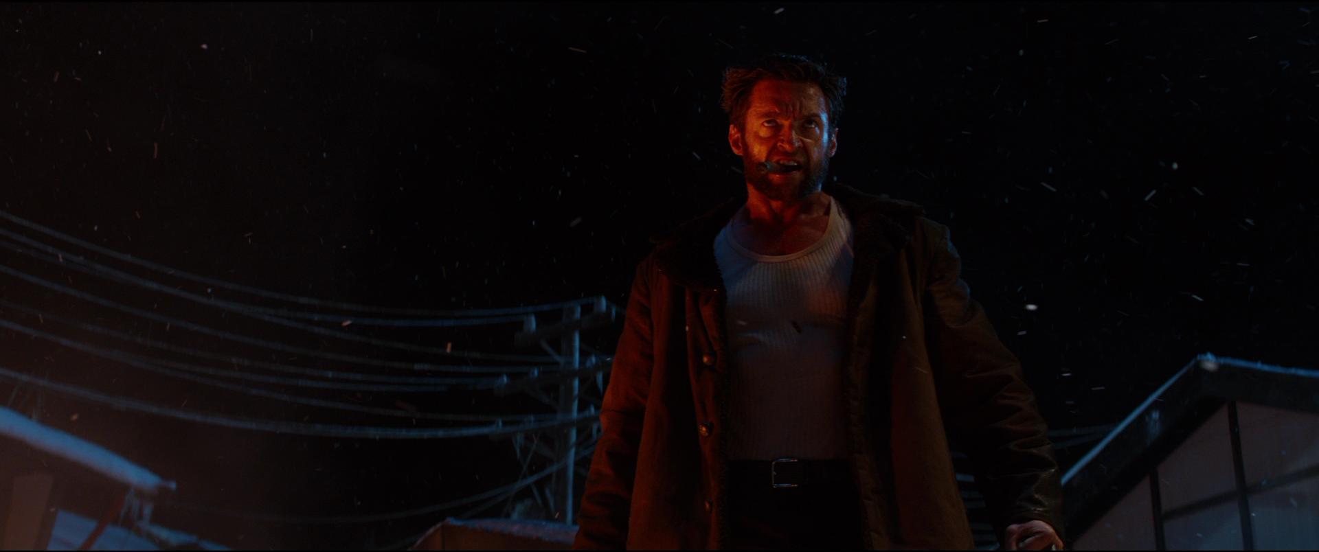 Image gallery for The Wolverine - FilmAffinity