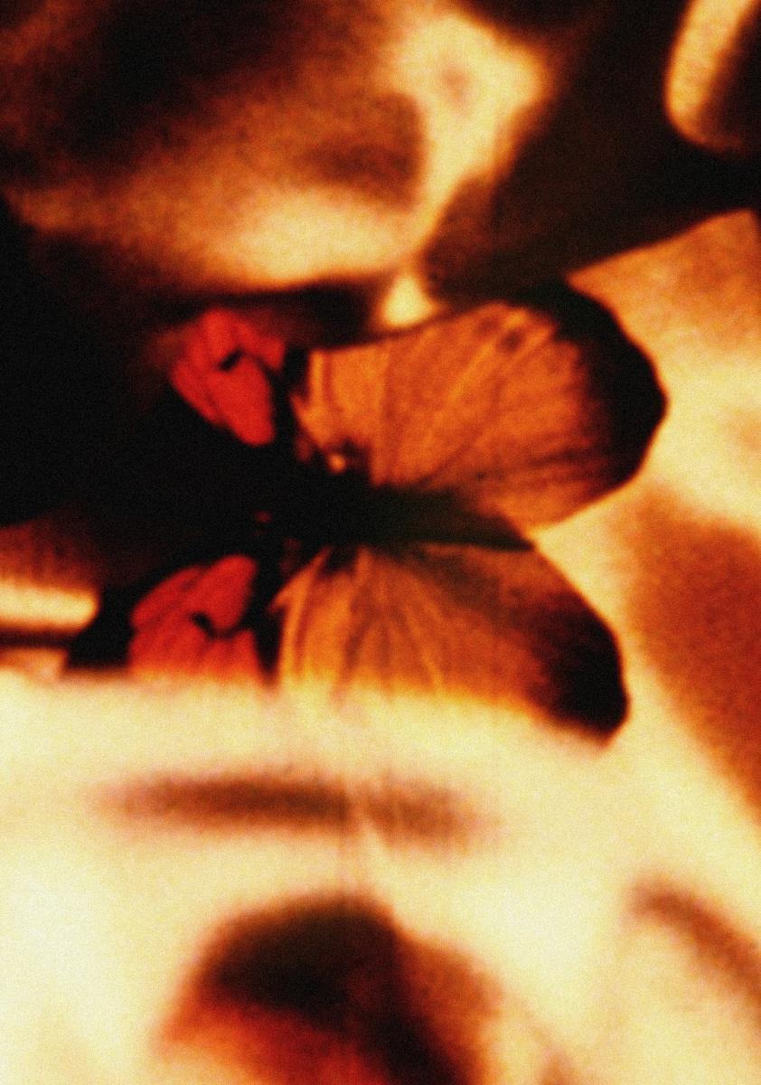 Sección visual de Third Eye Butterfly (C) - FilmAffinity