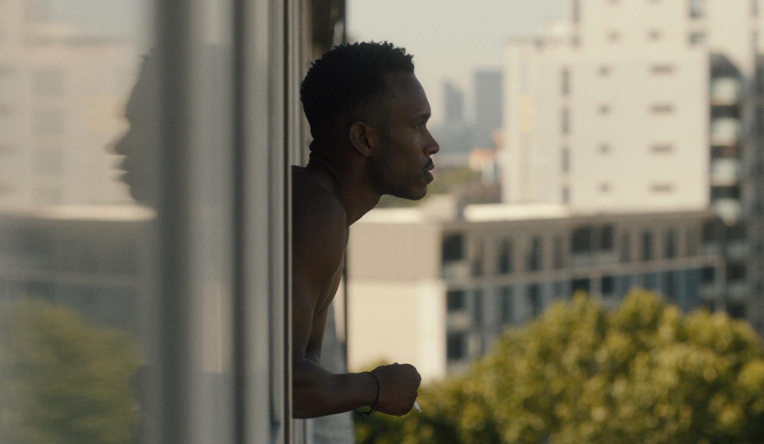 Sección visual de Thrive (C) - FilmAffinity