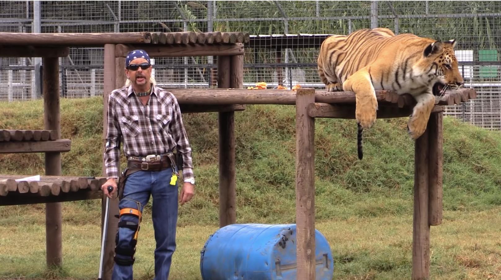 Sección visual de Tiger King (Miniserie de TV) - FilmAffinity