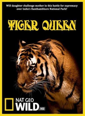 Tiger Queen (TV) (2010) - FilmAffinity