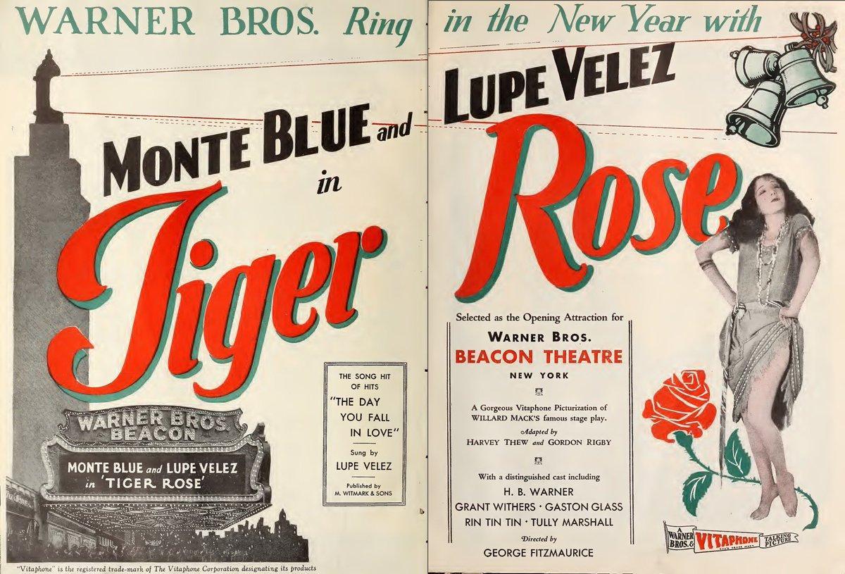 Image gallery for Tiger Rose - FilmAffinity