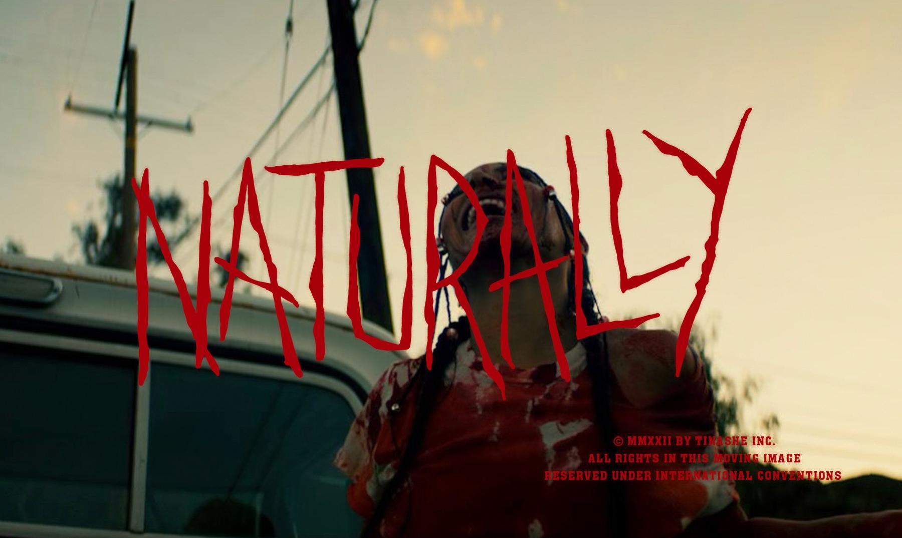 Sección visual de Tinashe: Naturally (Vídeo musical) - FilmAffinity