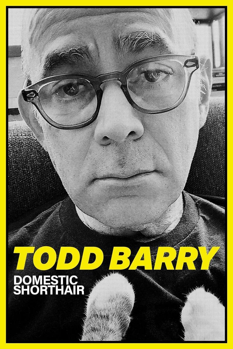 Sección visual de Todd Barry: Domestic Shorthair (TV) - FilmAffinity