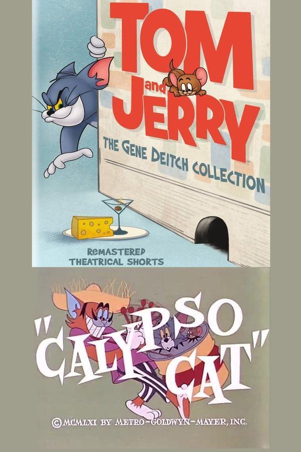Sección visual de Tom y Jerry: Calypso Cat (C) - FilmAffinity